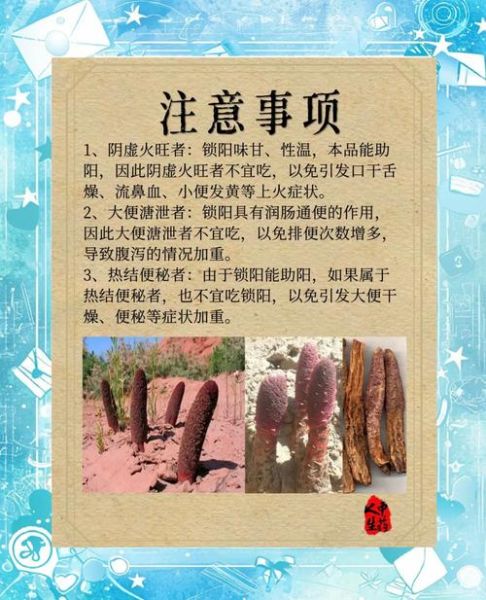 锁阳的功效与作用有哪些_锁阳主治什么病-第1张图片-山城妙识 锁阳的功效与作用有哪些_锁阳主治什么病-第1张图片-山城妙识