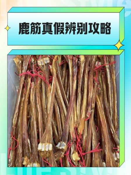 鹿筋的功效与作用_鹿筋怎么吃效果最好-第3张图片-山城妙识