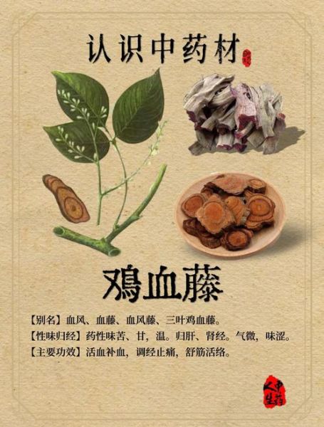 鸡血藤禁忌与副作用_鸡血藤毒性大吗-第1张图片-山城妙识 鸡血藤禁忌与副作用_鸡血藤毒性大吗-第1张图片-山城妙识