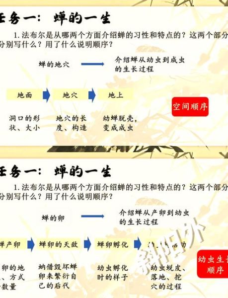 蝉的一生图片_蝉的寿命有多长-第3张图片-山城妙识 蝉的一生图片_蝉的寿命有多长-第3张图片-山城妙识