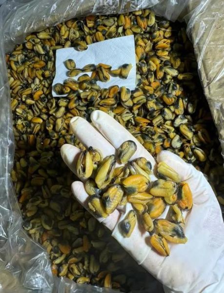 淡菜干怎么泡发_淡菜干的做法大全-第1张图片-山城妙识 淡菜干怎么泡发_淡菜干的做法大全-第1张图片-山城妙识