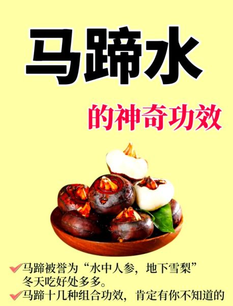 马蹄煮水喝有什么功效_马蹄煮水可以天天喝吗-第1张图片-山城妙识 马蹄煮水喝有什么功效_马蹄煮水可以天天喝吗-第1张图片-山城妙识