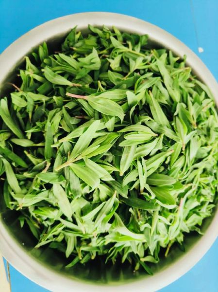 蚂蚱菜怎么做好吃_蚂蚱菜有哪些家常做法-第1张图片-山城妙识 蚂蚱菜怎么做好吃_蚂蚱菜有哪些家常做法-第1张图片-山城妙识