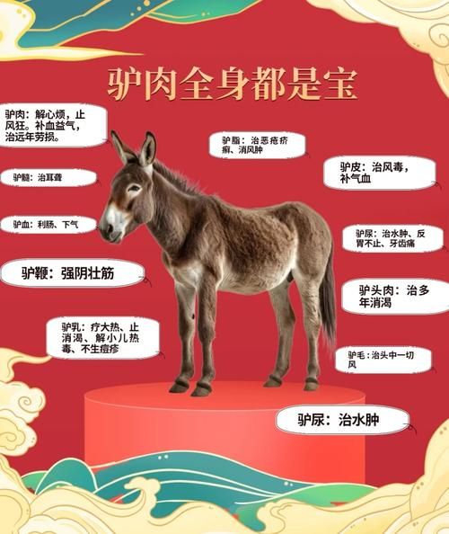 驴肉的功效与作用对男人_男人吃驴肉壮阳吗-第1张图片-山城妙识 驴肉的功效与作用对男人_男人吃驴肉壮阳吗-第1张图片-山城妙识