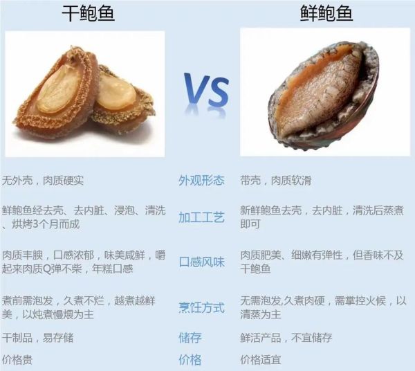 鲍鱼是鱼类吗_鲍鱼属于什么动物-第2张图片-山城妙识 鲍鱼是鱼类吗_鲍鱼属于什么动物-第2张图片-山城妙识