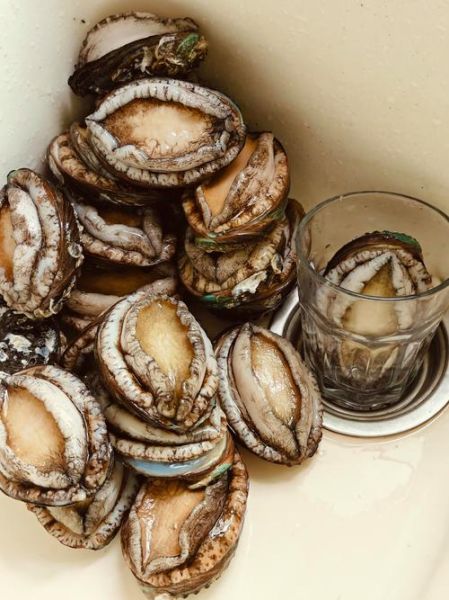 鲍鱼是鱼类吗_鲍鱼属于什么动物-第3张图片-山城妙识 鲍鱼是鱼类吗_鲍鱼属于什么动物-第3张图片-山城妙识