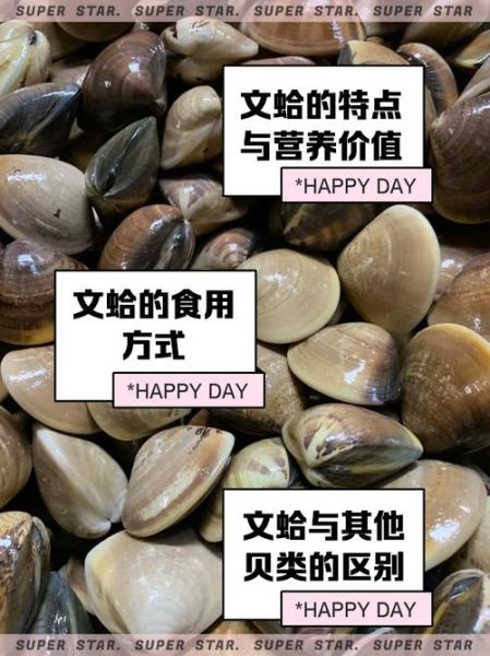 蛤蜊怎么读_蛤蜊正确读音是什么-第1张图片-山城妙识 蛤蜊怎么读_蛤蜊正确读音是什么-第1张图片-山城妙识