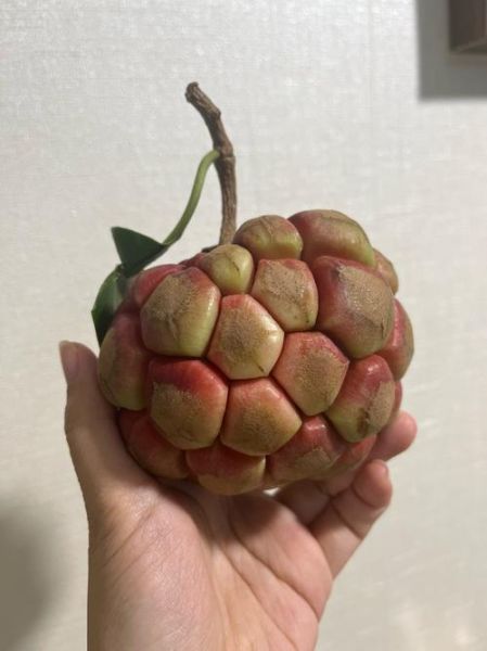 释迦果怎么吃_释迦果什么味道-第2张图片-山城妙识