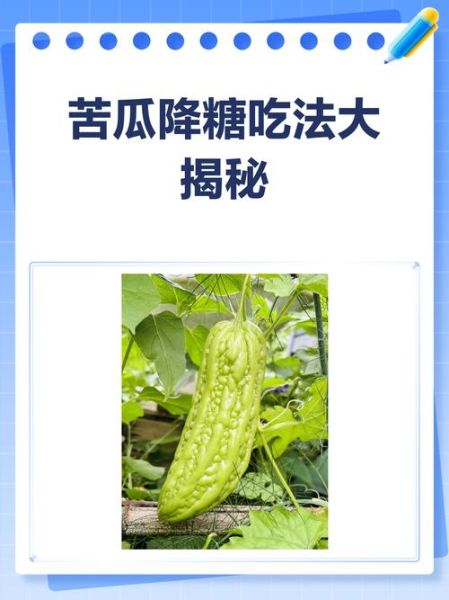 苦瓜能降血糖吗_苦瓜怎么吃降糖效果好-第1张图片-山城妙识 苦瓜能降血糖吗_苦瓜怎么吃降糖效果好-第1张图片-山城妙识