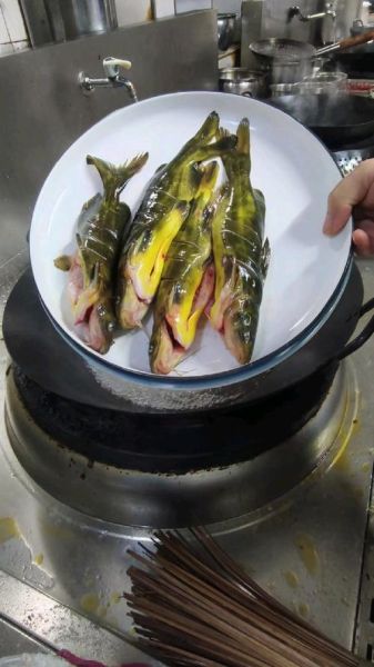 嘎牙鱼的做法大全_嘎牙鱼怎么做好吃-第3张图片-山城妙识 嘎牙鱼的做法大全_嘎牙鱼怎么做好吃-第3张图片-山城妙识