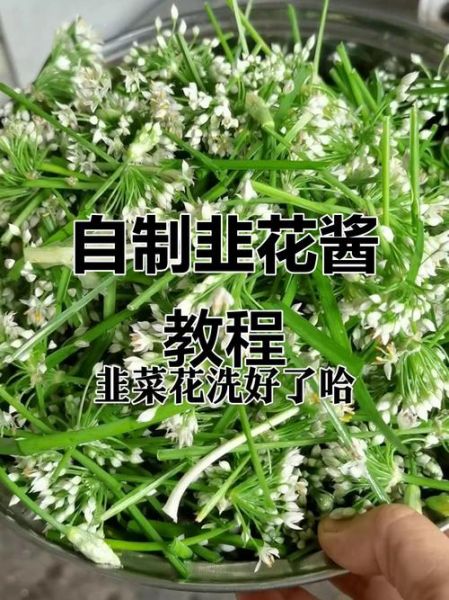 韭菜花怎么腌制好吃_韭菜花腌制配方-第1张图片-山城妙识 韭菜花怎么腌制好吃_韭菜花腌制配方-第1张图片-山城妙识