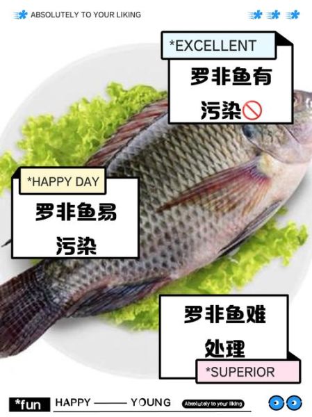 为什么不建议吃罗非鱼_罗非鱼健康风险-第1张图片-山城妙识 为什么不建议吃罗非鱼_罗非鱼健康风险-第1张图片-山城妙识