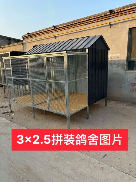 肉鸽养殖大棚怎么建_肉鸽大棚设计图要点-第1张图片-山城妙识
