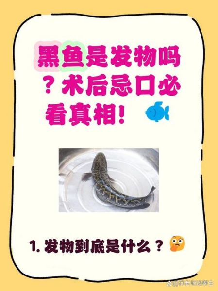 黑鱼是发物吗_术后能吃黑鱼吗-第1张图片-山城妙识 黑鱼是发物吗_术后能吃黑鱼吗-第1张图片-山城妙识