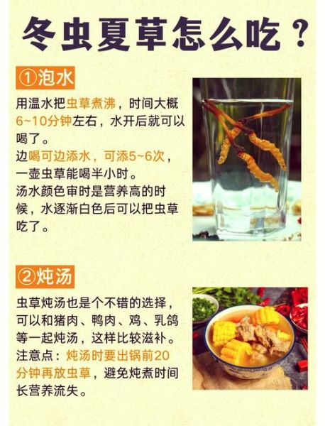 虫草有什么功效_虫草适合什么人吃-第3张图片-山城妙识 虫草有什么功效_虫草适合什么人吃-第3张图片-山城妙识