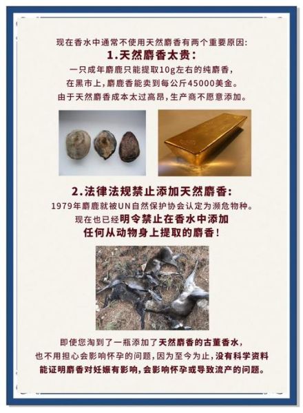 麝香的功效与作用价格_麝香多少钱一克-第1张图片-山城妙识 麝香的功效与作用价格_麝香多少钱一克-第1张图片-山城妙识