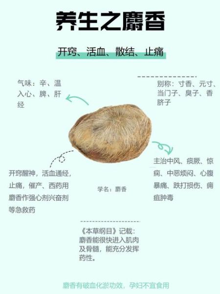 麝香的功效与作用价格_麝香多少钱一克-第3张图片-山城妙识 麝香的功效与作用价格_麝香多少钱一克-第3张图片-山城妙识