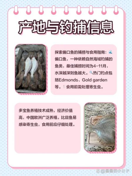 鲽鱼和偏口鱼是一种鱼吗_区别与选购指南-第1张图片-山城妙识 鲽鱼和偏口鱼是一种鱼吗_区别与选购指南-第1张图片-山城妙识