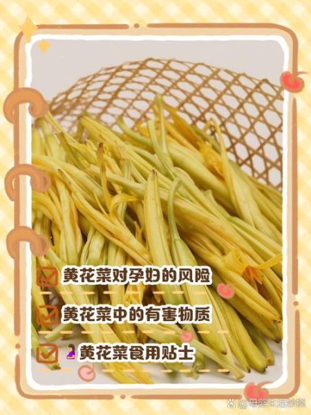 黄花菜什么人不能吃_孕妇能吃黄花菜吗-第3张图片-山城妙识