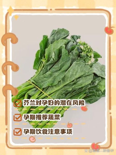 芥兰为什么不能多吃_芥兰吃多了会怎样-第1张图片-山城妙识 芥兰为什么不能多吃_芥兰吃多了会怎样-第1张图片-山城妙识