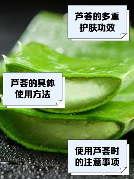 芦荟涂脸的正确方法_芦荟直接涂脸会不会过敏-第1张图片-山城妙识 芦荟涂脸的正确方法_芦荟直接涂脸会不会过敏-第1张图片-山城妙识