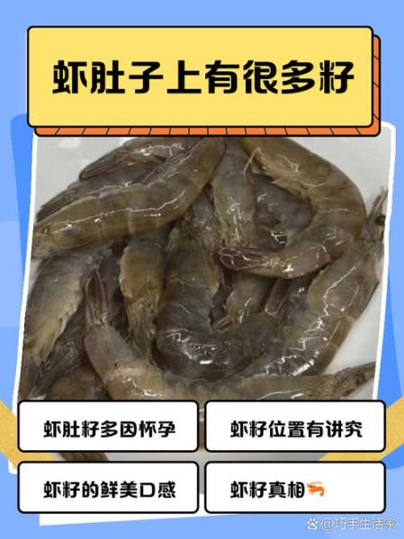 虾肚子密密麻麻的小颗粒是什么_虾肚子小颗粒能吃吗-第1张图片-山城妙识 虾肚子密密麻麻的小颗粒是什么_虾肚子小颗粒能吃吗-第1张图片-山城妙识