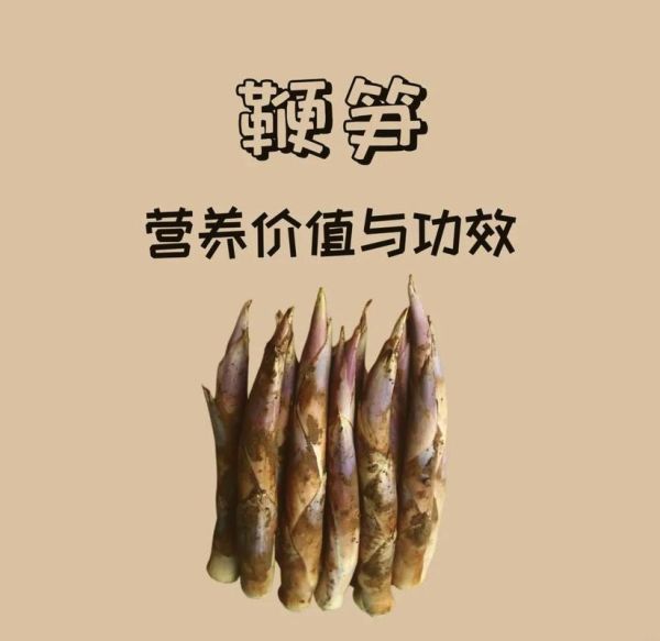 鞭笋什么季节才有_鞭笋几月份采摘最好-第1张图片-山城妙识 鞭笋什么季节才有_鞭笋几月份采摘最好-第1张图片-山城妙识