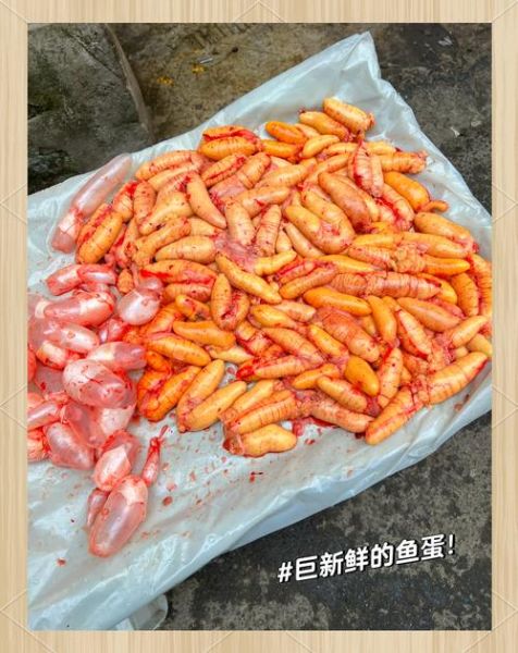 鱼卵最简单的做法大全_鱼卵怎么做好吃又简单-第2张图片-山城妙识 鱼卵最简单的做法大全_鱼卵怎么做好吃又简单-第2张图片-山城妙识