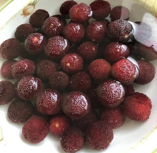 自制杨梅干怎么做_杨梅干保存多久-第1张图片-山城妙识 自制杨梅干怎么做_杨梅干保存多久-第1张图片-山城妙识