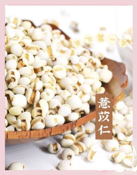 薏米可以天天吃吗_薏米的药用价值有哪些-第3张图片-山城妙识 薏米可以天天吃吗_薏米的药用价值有哪些-第3张图片-山城妙识