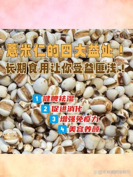 薏米可以天天吃吗_薏米的药用价值有哪些-第2张图片-山城妙识 薏米可以天天吃吗_薏米的药用价值有哪些-第2张图片-山城妙识