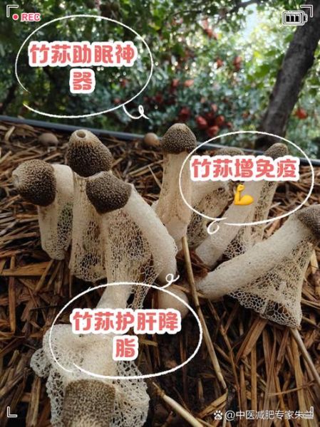 竹荪怎么做好吃_竹荪的功效与作用-第2张图片-山城妙识 竹荪怎么做好吃_竹荪的功效与作用-第2张图片-山城妙识