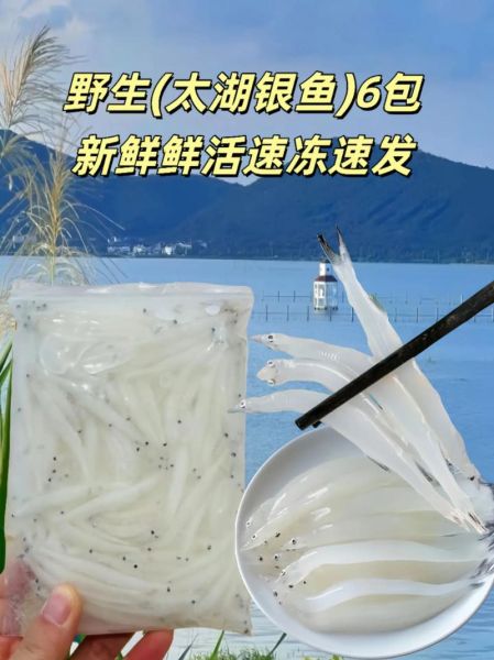 鲜银鱼焯水有什么好处_鲜银鱼不焯水可以吗-第1张图片-山城妙识