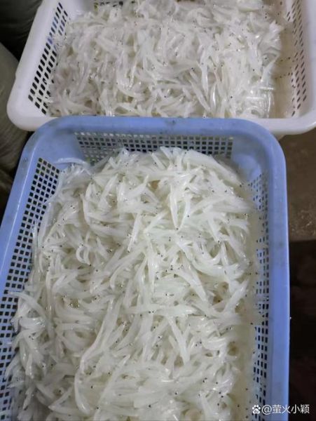 鲜银鱼焯水有什么好处_鲜银鱼不焯水可以吗-第3张图片-山城妙识