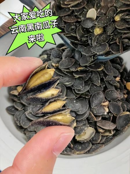 黑南瓜子的功效与作用_黑南瓜子一天吃多少粒最好-第1张图片-山城妙识