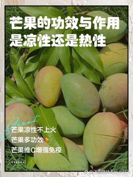 芒果的功效与副作用_吃芒果会上火吗-第1张图片-山城妙识 芒果的功效与副作用_吃芒果会上火吗-第1张图片-山城妙识