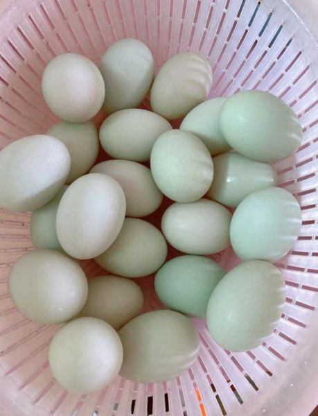 鸭蛋怎么腌制才出油_腌制出油鸭蛋的方法-第3张图片-山城妙识 鸭蛋怎么腌制才出油_腌制出油鸭蛋的方法-第3张图片-山城妙识