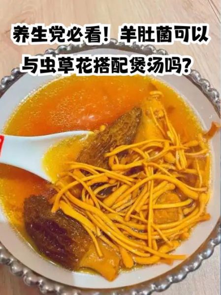 虫草花香菇功效与禁忌_适合什么人吃-第2张图片-山城妙识