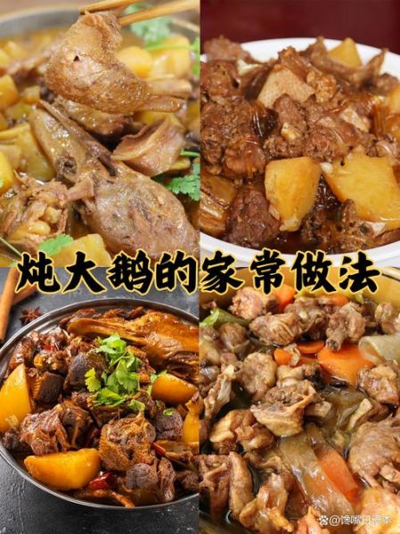 鹅怎么炖好吃_家常炖鹅做法-第2张图片-山城妙识