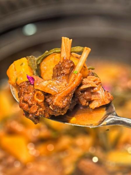 鹅怎么炖好吃_家常炖鹅做法-第3张图片-山城妙识