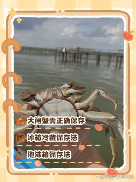 螃蟹买回来要怎么保存_活蟹能放冰箱吗-第2张图片-山城妙识 螃蟹买回来要怎么保存_活蟹能放冰箱吗-第2张图片-山城妙识