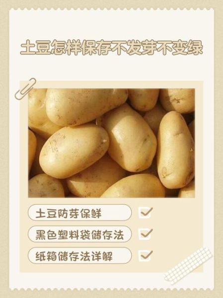 马铃薯发芽能吃吗_如何储存不发芽-第2张图片-山城妙识 马铃薯发芽能吃吗_如何储存不发芽-第2张图片-山城妙识