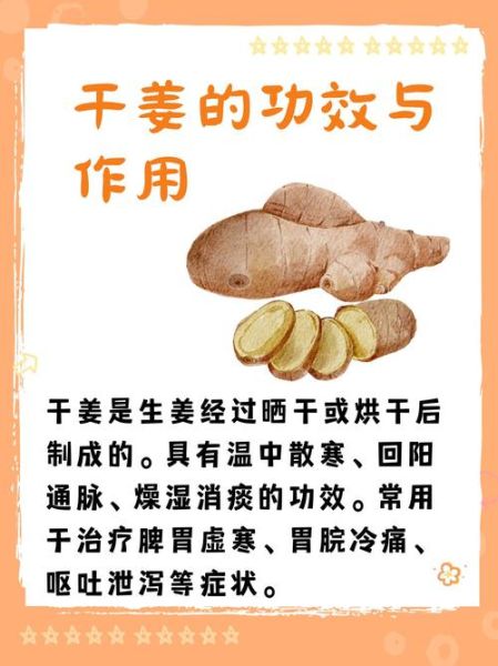 干姜的功效与作用_干姜怎么吃效果最好-第1张图片-山城妙识 干姜的功效与作用_干姜怎么吃效果最好-第1张图片-山城妙识