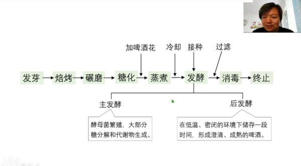 酵母菌发酵原理_酵母菌发酵需要哪些条件-第3张图片-山城妙识 酵母菌发酵原理_酵母菌发酵需要哪些条件-第3张图片-山城妙识
