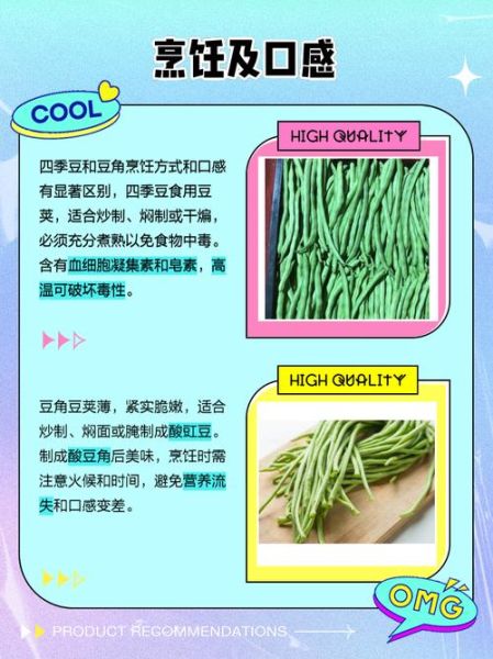 芸豆是不是四季豆_芸豆和四季豆的区别-第2张图片-山城妙识