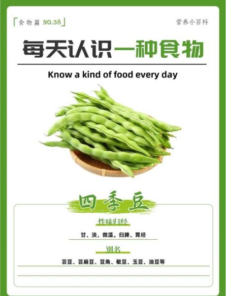 芸豆是不是四季豆_芸豆和四季豆的区别-第3张图片-山城妙识