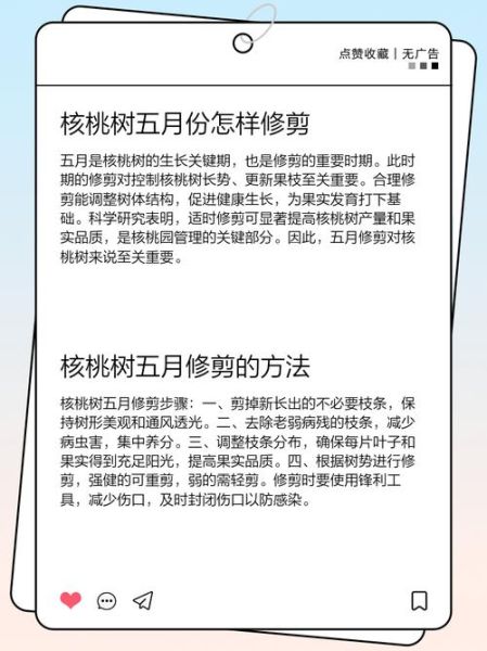 核桃树什么时候修剪最好_核桃树怎么管理才能高产-第2张图片-山城妙识 核桃树什么时候修剪最好_核桃树怎么管理才能高产-第2张图片-山城妙识