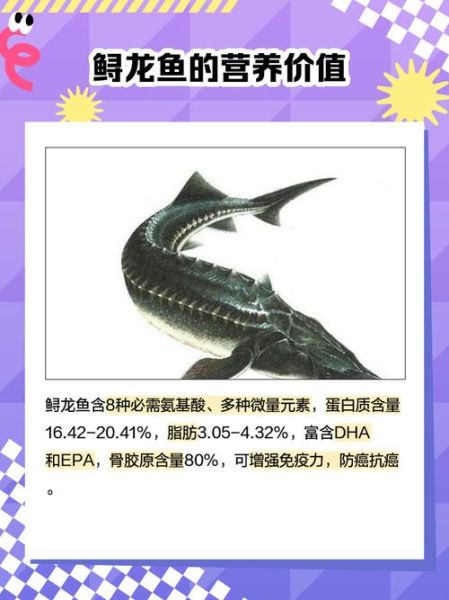 鲟鱼和鳇鱼哪个贵_价格差距有多大-第2张图片-山城妙识 鲟鱼和鳇鱼哪个贵_价格差距有多大-第2张图片-山城妙识