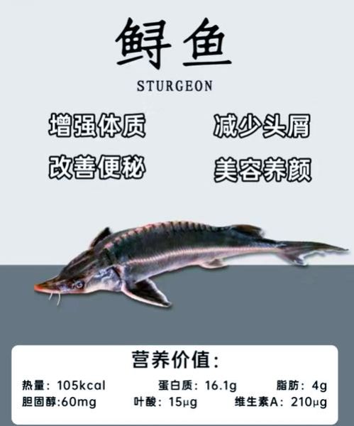 鲟鱼和鳇鱼哪个贵_价格差距有多大-第1张图片-山城妙识 鲟鱼和鳇鱼哪个贵_价格差距有多大-第1张图片-山城妙识