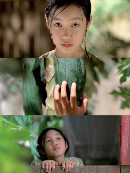 青木瓜之味免费观看_哪里能看高清完整版-第1张图片-山城妙识